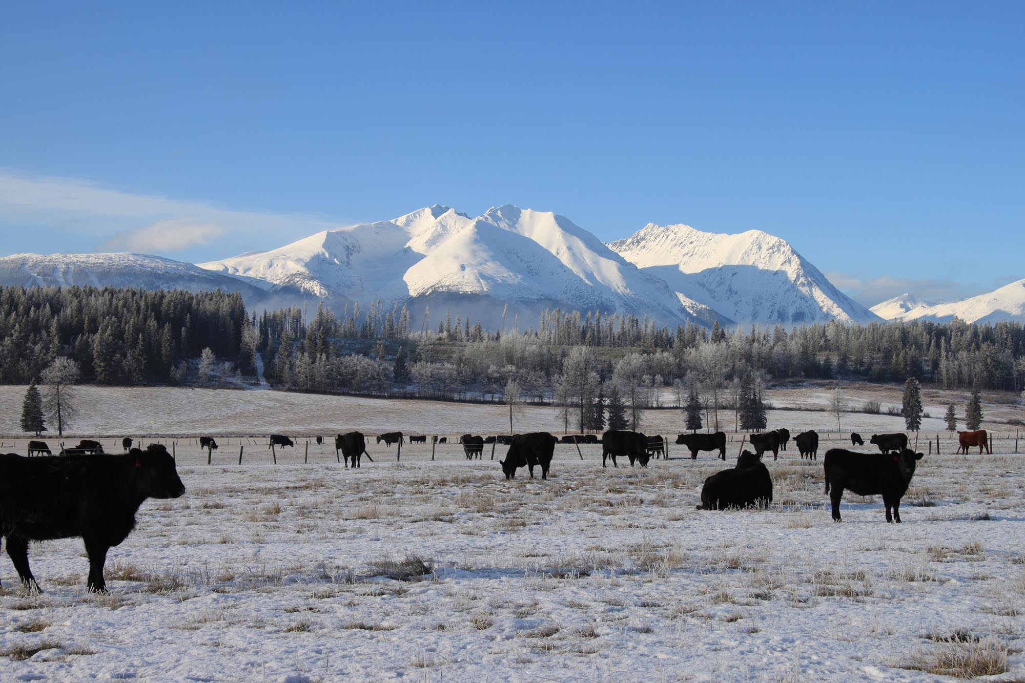 Variability - BC Climate Change Adaptation Program | BC Climate Change ...