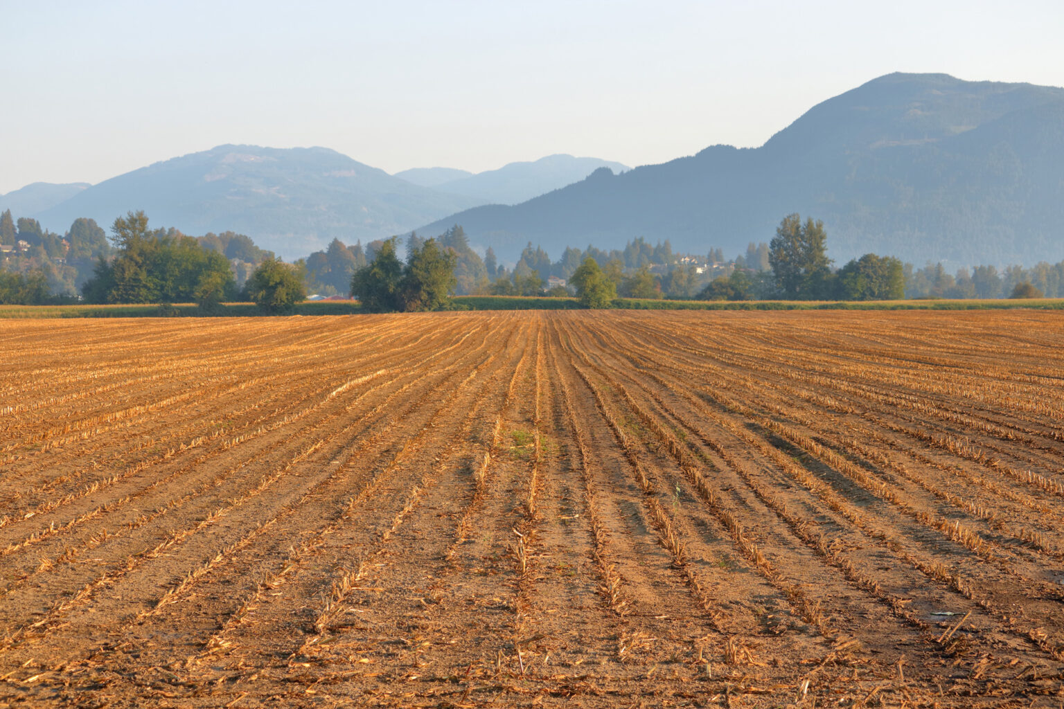 Climate Change Adaptation Program - BC Climate Change Adaptation ...